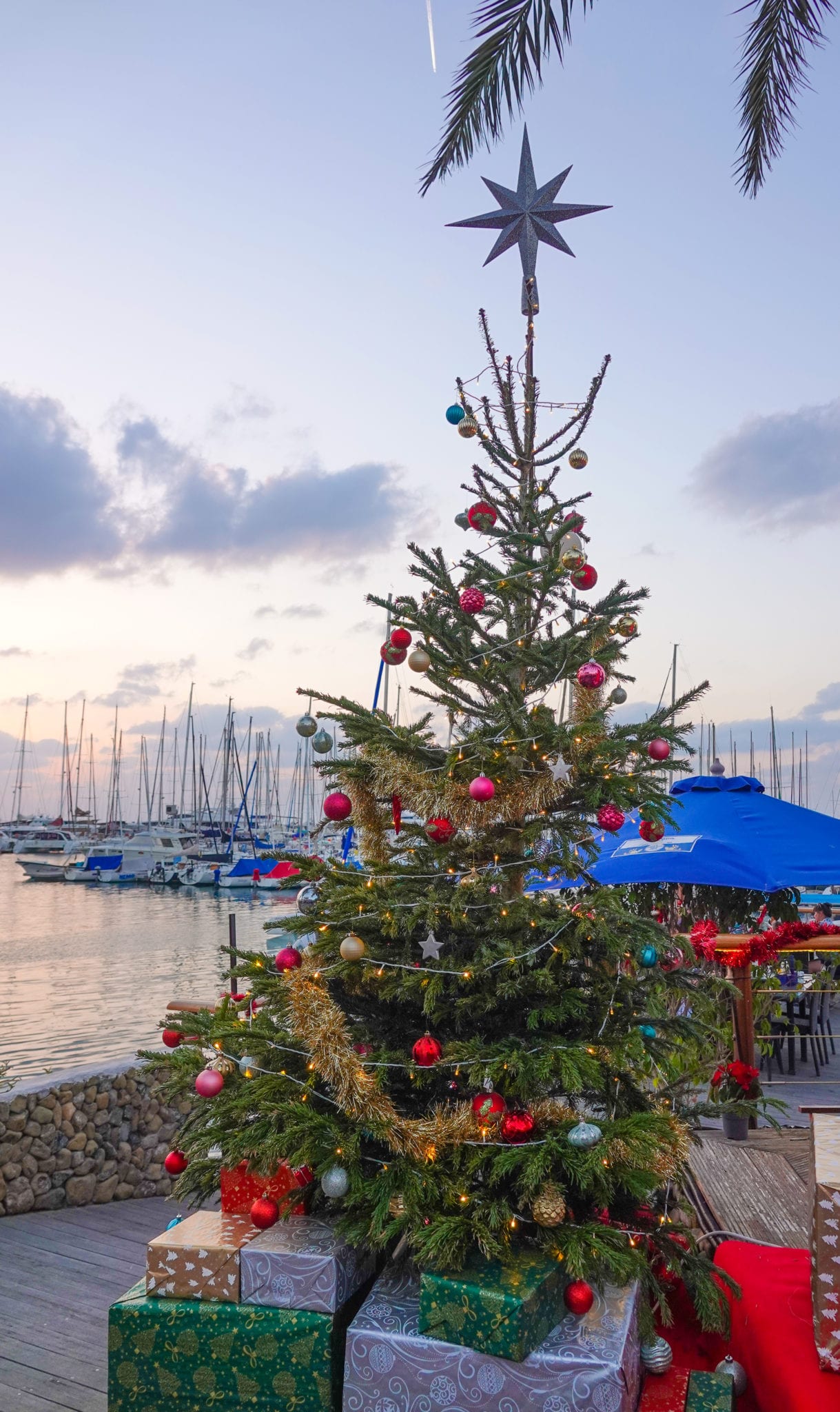 Photos from the Christmas Party | View online now | Dubai Offshore ...